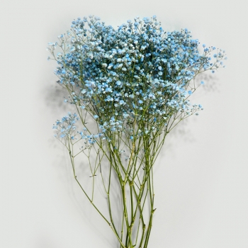 Tem Flores - Nossos Produtos